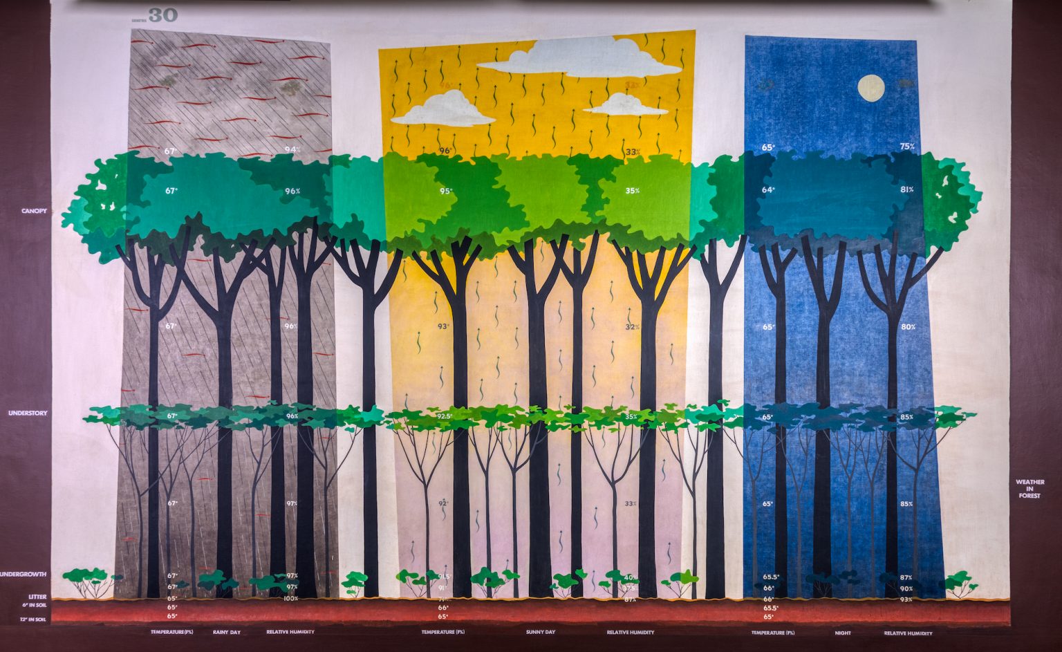 Charles Alston’s Origin of Life | The Future of Truth